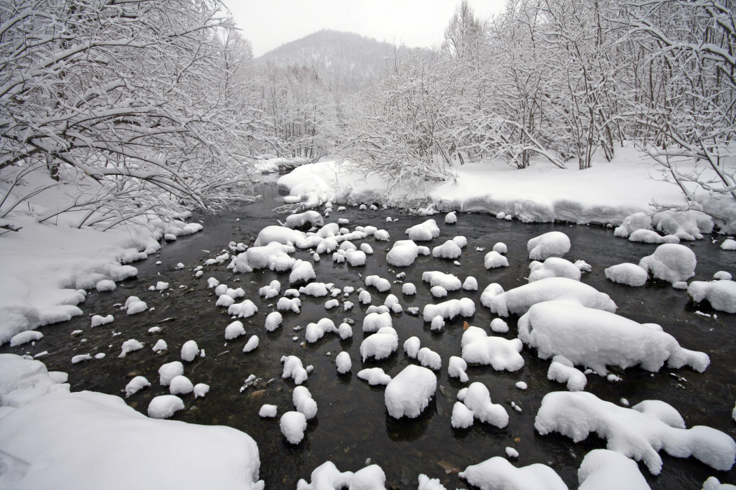 Jonathan C. Slaght – Wildlife Biologist & Author