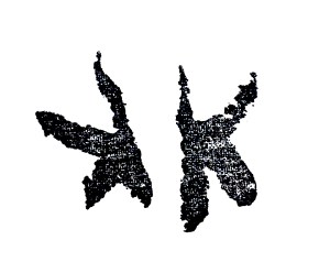 About – Jonathan C. Slaght